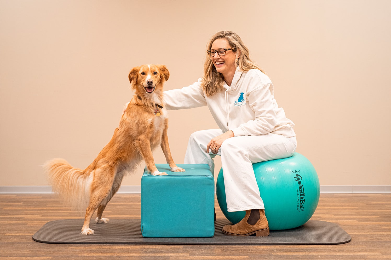 Tierphysio Eschler – Beweglichkeit & Wohlbefinden für Hunde